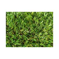 China 1x25m 2x25m Outdoor Artificial Grass 25mm Outdoor Fake Grass Roll Free Samples for sale