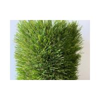 China 8000d Home Gym Artificial Turf 40mm 3/8 Inch Gym Flooring Grass for sale