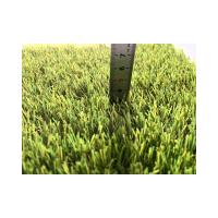 China 8000d Home Gym Artificial Turf 40mm 3/8 Inch Gym Flooring Grass for sale