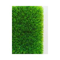 China 25mm Golf Artificial Grass 16/10cm Synthetic Golf Turf For Kindergarten Playground for sale