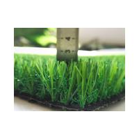 China 25mm Golf Artificial Grass 16/10cm Synthetic Golf Turf For Kindergarten Playground for sale