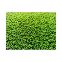 China 25/10cm Sports Artificial Turf Decorative 20mm Artificial Grass China Manufacturer for sale