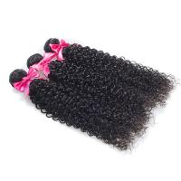 China Curly Texture Brazilian 7A Virgin Hair , Wet And Wavy Virgin Hair Bundles Extension for sale