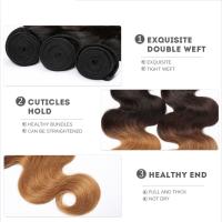 China Brazilian 3 Tone Ombre Hair Extensions , Ombre Human Hair Bundles for sale