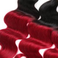 China Colored Ombre Hair Weave Body Wave Malaysian Hair Bundles Thick Hair Ends for sale