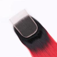 China Straight 4x4 Lace Front Closure Virgin Remy 4x4 Brazilian Closure 9A / 10A Grade for sale