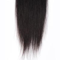 China Elegant Human Hair Lace Closure 4x4 Malaysian Straight Closure, Human Hair Extension for sale