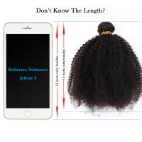 China Afro Kinky Curly Hair Brazilian Virgin Human Hair Bundles Natural Black Color No Tangle for sale