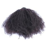 China Afro Kinky Curly Hair  No Shedding , No Tangling 100% Brazilian Human Hair Extensions  for sale