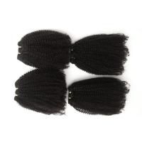 China Afro Kinky Curly Hair Peruvian Virgin Human Hair Bundles Full Density No Lice No Tangle for sale