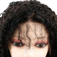 China Kinky Curly Front Lace Wigs , Lace Front Full Wigs Human Hair 8A Grade for sale
