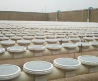 China Efficient Disc Type Diffuser For 2.5-8.3m3/Hr Design Flow And Long Service Life for sale
