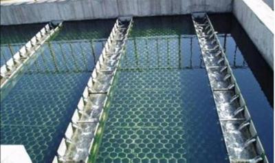 China FRP Lamella Tube Settler 1000x1000x866 for Industrial Wastewater Treatment for sale