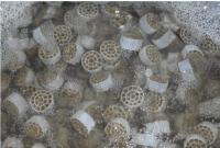 China Efficient Biofilm Carrier Treatment System For Longer Membrane for sale