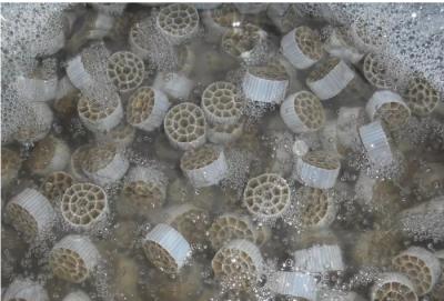 China Efficient Biofilm Carrier Treatment System For Longer Membrane for sale