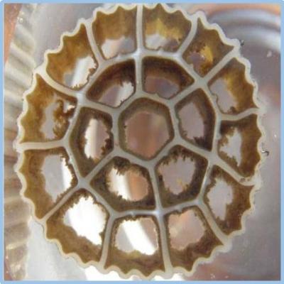 China MBBR Wastewater Treatment Biofilm Carrier HDPE Specific Gravity 0.96 g/cm³ 500 m²/m³ for sale