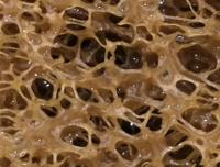 China Polymer Composite Gel Biocarriers 12.5 dry-kg/wet-m³ Density 98% Porosity Long Service Life for sale