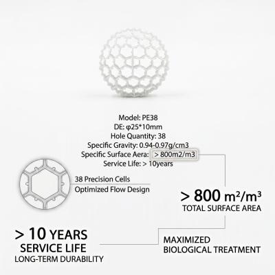 China Modular SSI MBBR Biofilm Reactor System Compact Design Rapid Colonization For Southeast Asia Industrial Wastewater for sale