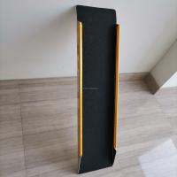 China Sustainable Pet Aluminum Loading Ramps Customized Size Cat Dog Ramp for sale