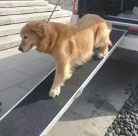 China Aluminium Non-Slip Ladder Folding Animal Ramp Dog Ramp for sale
