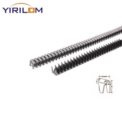 China Galvanized Zinc M66 Series Mattress Clip Bed Staple for Sofa Spring Border Frame - 6000pcs/cnt for sale