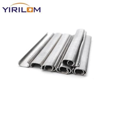 China Galvanized Zinc Mattress Clip with 17/18/19/22mm Crown for Furniture Mattress Iron Frame Fixing Ring - 6000pcs/cnt Packing for sale
