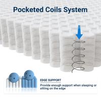 China Customized Spring Counts Mattress Pocket Spring Unit with Zoned Technology and High Carbon Steel Wire for sale