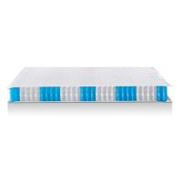 China Customized 2.3mm Steel Wire High Carbon Steel Mattress Pocket Spring with Encased Pocket Coil Spring for sale