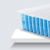 China Customized 2.3mm Steel Wire High Carbon Steel Mattress Pocket Spring with Encased Pocket Coil Spring for sale