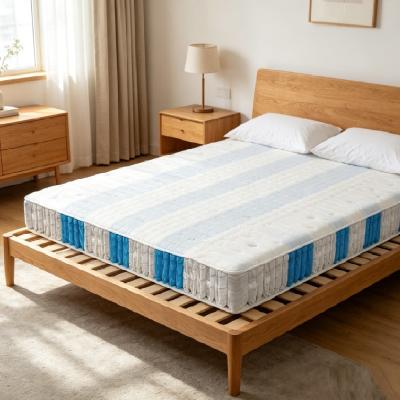 China Wholesale Customized Pocket Spring Unit - Premium Mattress Pocket Spring Coil at Competitive Price from Reliable Pocket Spring Factory for sale