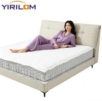 China Export Quality Mattress Pocket Spring Coil - Motion Isolation Pocket Coil Spring for Luxury Bedding for sale