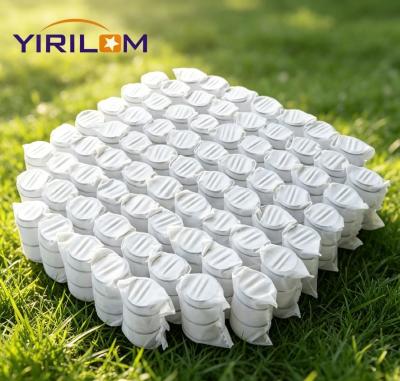 China Free Sample Sofa Spring Manufacturer 1.8mm 2.0mm Metal Pocket Spring For Sofa Cushion for sale