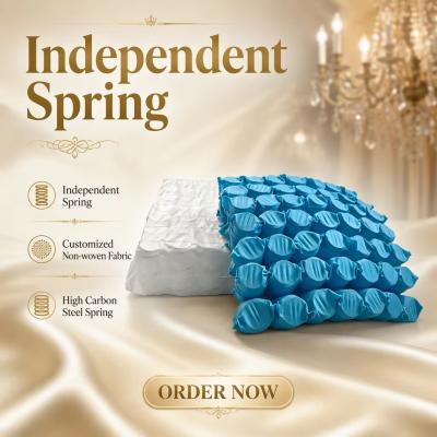China High Carbon Steel Wire Sofa Pocket Spring Unit with Compressed Roll Pack and Noiseless Design for sale