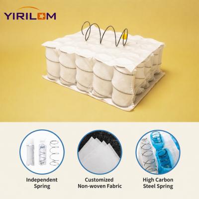 China Pocket Spring Coil Unit for Sofa Bed and Seat Cushion of Multi Purpose Upholstered Furniture Making Buyers for sale
