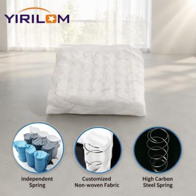 China High Tensile Spring Steel Independent Coil Spring Unit for Sofa Cushion Replacement and Upholstered Couch Furniture Making for sale