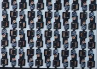 China Black Oil Spray Tin Double Panel PCB HASL Treatment Customized Panel Thickness for sale