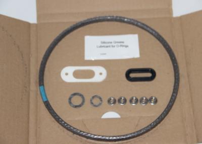 China Graphite Gasket Kit for Condensing Heat Exchanger O Rings Sealing Washers 0020038679 for sale