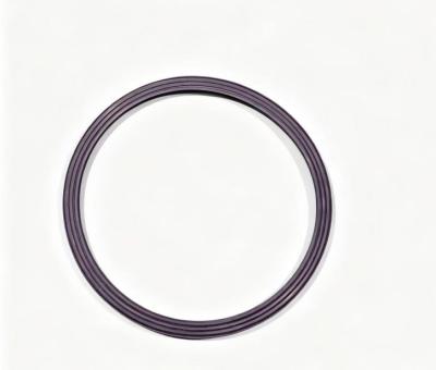 China Vaillant EcoTEC Boiler Burner Seal Kit Graphite Gaskets O Rings Washers 5-Piece Set for sale