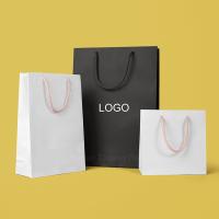 China Customized Flexiloop Handle Cardboard Shopping Packaging Paper Bag With Logo For Your for sale