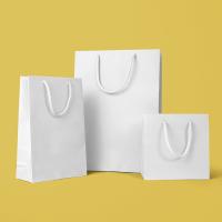China Toowin Custom Kraft Paper Shopping Bag with Flat Handle for Perfume Retail 300gsm for sale