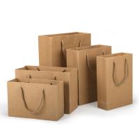 China Custom Printed Kraft Paper Shopping Bag 300gsm Biodegradable Eco Friendly Retail Carry Bag for sale