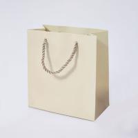 China Biodegradable Kraft Paper Bag with Gray Ribbon Handle for Clothing Store Custom Size for sale