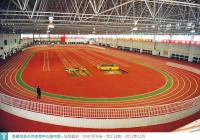 China Outside Recycled Olympic Sports Flooring For Tartan Track / Stadium Surface for sale