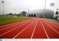 China Athletic Jogging Rubber Sports Flooring For Stadium Surface All Weather Fully Cast for sale