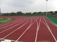 China Outdoor Plastic PU Sports Flooring For Running Track All Weather Cast for sale