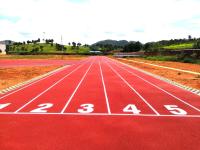 China 13mm PU Sports Flooring For Synthetic Athletic Track for sale