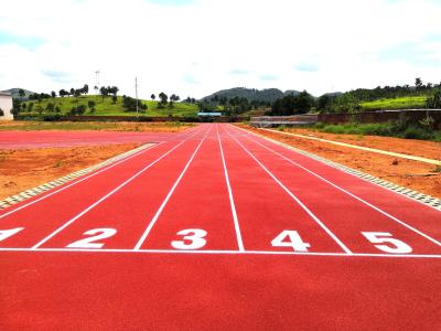 China 13mm PU Sports Flooring For Synthetic Athletic Track for sale