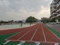 China Standard 400 Meters Athletic Running Track 8 Lanes Assorted Color Sun Proof  for sale