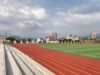China Outdoor Plastic PU Sports Flooring For Running Track All Weather Cast for sale