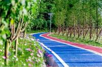 China Wet Pour EPDM Rubber Playground Surface Coating For Walking Path for sale